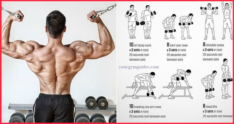 The Best Workout Combination Back And Biceps HEALTH GYM GUIDE The Best Workout Combination Back And Biceps HEALTH GYM GUIDE