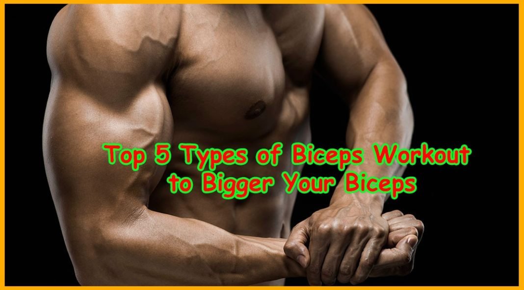 5 Types of Biceps workout for Big Biceps - HEALTH & GYM GUIDE