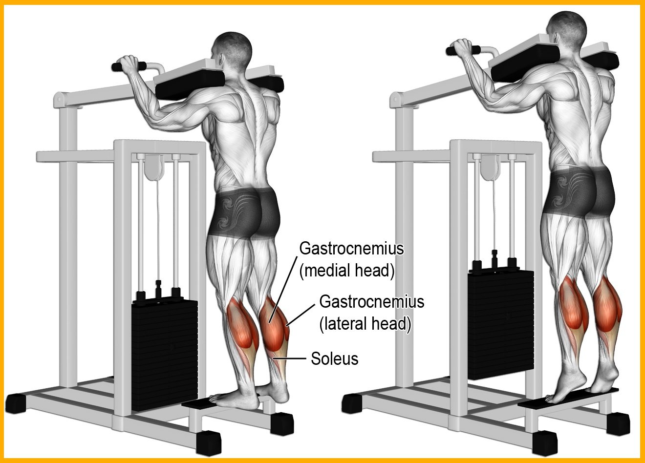 5 Leg Workouts - A Beginner's Guide! - HEALTH & GYM GUIDE