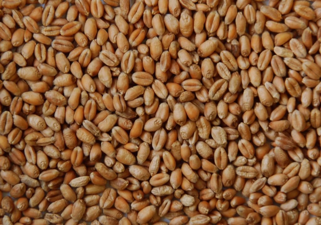 BEST Foods To MUSCLE Mass Gain FAST | HEALTH, FITNESS and GYM GUIDE