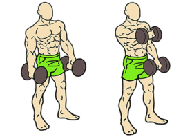 5 day split workout for men to gain muscle mass - HEALTH & GYM GUIDE