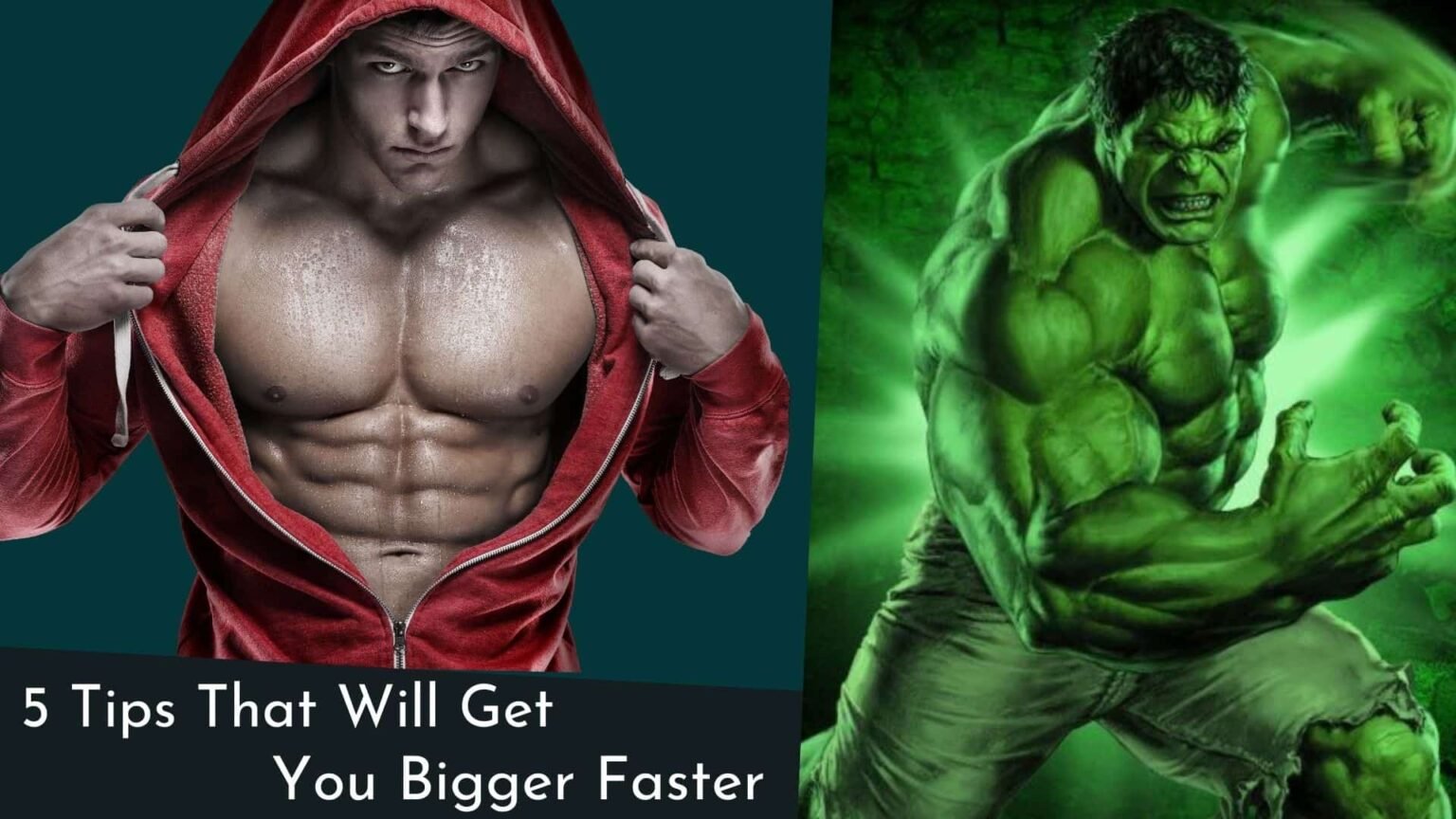 Muscle growth building - 5 Tips That Will Get You Bigger Faster
