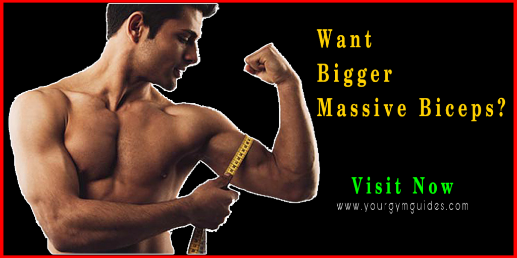 Build Bigger Biceps – 4 Powerful Tips To Massive Arms ! - HEALTH & GYM ...