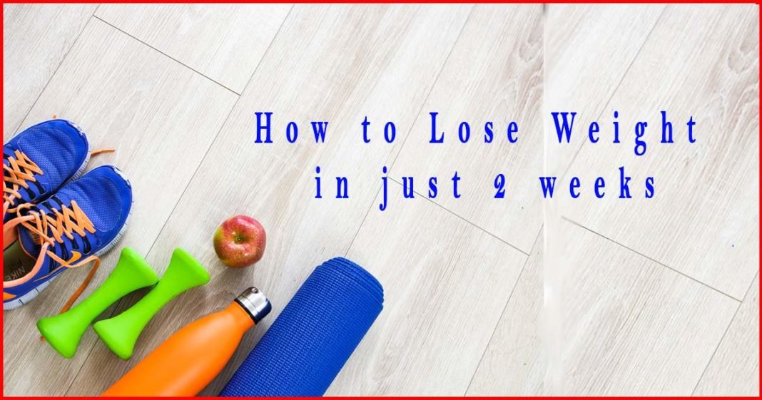 4 simple steps to lose weight in 2 weeks - HEALTH & GYM GUIDE